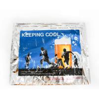 China Insulated Thermal Bag For Ice Cream Hot Cold Aluminum Thermal Cooler Bag for sale