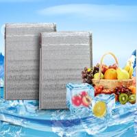 China Logo Printing Cooler Bag Pack for Food Delivery Aluminum Foil and Gel Ice Thermal EPE for sale