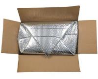China Non-toxic Insulated Foil Liner Chilled Packaging Boxes Reusable for Safe and Shipping for sale