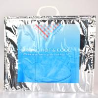 China OEM/ODM Accepted Aluminum Foil Lining Cooler Bag for Hot and Cold Food Transportation for sale