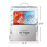 China OEM/ODM Accepted Aluminum Foil Lining Cooler Bag for Hot and Cold Food Transportation for sale
