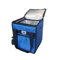 China Medical Oxford Cooler Bag Portable Cold Packaging Insulation for Vaccine Blood Storage for sale