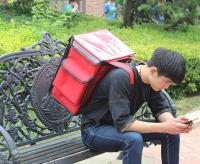 China Acceptable Large Aluminum Foil Cooler Backpack for Supermarket Shopping and Takeaway for sale