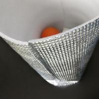 China Food Carry  Insulated Thermal Pouch Bags Packaging For Live Seafood Delivery Eco-Friendly And Durable for sale
