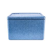 China Insulated Food Container 100% Recyclable Biodegradable Lunch Cooler Box Heavy Duty Cabinet for sale