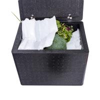 China Insulated Food Container 100% Recyclable Biodegradable Lunch Cooler Box Heavy Duty Cabinet for sale