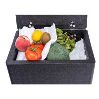 China 120L Modern Medical Outdoor Cooler Box Insulated EPP Foam Grocery Packaging for sale