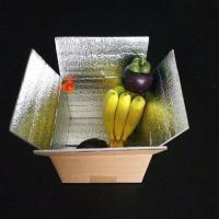 China XPS/EPE Insulated Corrugated Cardboard Box Vegetable Fruit Packaging Storage Huizhou for sale