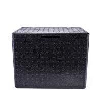 China 100% Recycled Picnic Cooler Box Portable Ice EPP Foam Cooler Food Delivery Motorcycle for sale