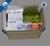 China Insulated Corrugated Carton Box Cold Ice Cream Popsicles Food Packaging Shipping Thermal Insulated Lunch Box for sale
