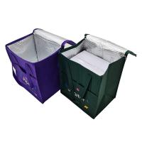 China Customized Medical Cold Chain Cooler Shipping Container Bag with Temperature Control for sale