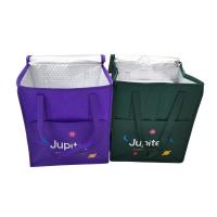 China Customized Medical Cold Chain Cooler Shipping Container Bag with Temperature Control for sale