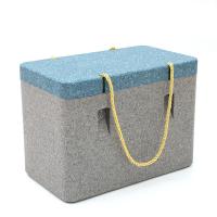China Meat Industrial Cooler Box Mini EPP Foam Cooler Box 50L 100L Light Weight With Lid Handles for sale