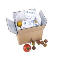 China Logo Food Grade Insulated Foil Bag for Thermal Insulation and Meat Cold Packaging for sale