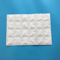 China Icepacks for Food Shipping 40*28cm Custom Cooling Cell Techni Ice Reusable Dry Ice Packs for sale