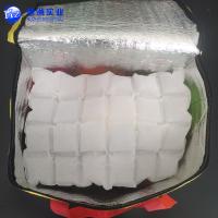 China Icepacks for Food Shipping 40*28cm Custom Cooling Cell Techni Ice Reusable Dry Ice Packs for sale