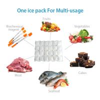 China 24 Cubes Cold Ice Gel Plastic Reusable Box Brick Dry Ice Pack Sheet for Medical Food for sale