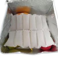China Reusable Shipping Cold Packs Dry Ice For Shipping Food Flexible Ice Blanket Freezer for sale