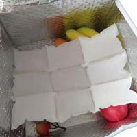 China Reusable Shipping Cold Packs Dry Ice For Shipping Food Flexible Ice Blanket Freezer for sale