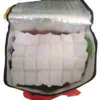 China Reusable Shipping Cold Packs Dry Ice For Shipping Food Flexible Ice Blanket Freezer for sale