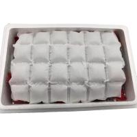 China dry ice pads Insulated Dry Cold Ice Pack for Fruit Seafood Customized 8oz Cooling Solution for sale