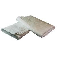 China dry ice cold packs Frozen Cold Pack Sheet for Multi Cube Food Shipping for sale