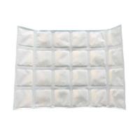 China Body Cooling Therapy Dry Ice Sheet Custom Cold Gel Pack with Low MOQ and 24 Cells for sale