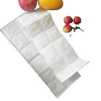 China Rehabilitation Therapy Supplies Techni Pack Custom Cooling Dry Ice Packs For Seafood for sale