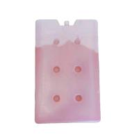 China 300x185x27mm Reusable Ice Packs for Lunch Box and Ice Chest Cooler Insulated Design for sale