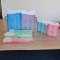 China 300x185x27mm Reusable Ice Packs for Lunch Box and Ice Chest Cooler Insulated Design for sale