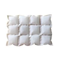 China PE Aquatic Express Fresh Ice Pack Without Water Injection Refrigerated 24 Cubes Koozies for sale