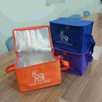 China Waterproof Breastmilk Cooler Bag for Fast Food Packaging Thermal Insulated Delivery for sale