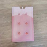 China Medicine Thermal Gel Coolant Reusable Hard Plastic Ice Packs for Long Lasting Cold for sale