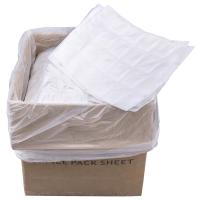 China plastic dry ice small pack Dry Ice Pack Sheets Reusable 28x39cm for Lunch Box Cool Bags for sale
