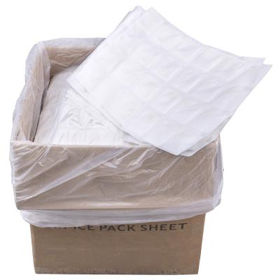 China plastic dry ice small pack Dry Ice Pack Sheets Reusable 28x39cm for Lunch Box Cool Bags for sale