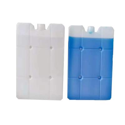 China Fresh Chilled Meal Prep Thermal Lunch Bag with Reusable HDPE Ice Brick and PE for sale
