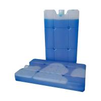 China Fresh Chilled Meal Prep Thermal Lunch Bag with Reusable HDPE Ice Brick and PE for sale