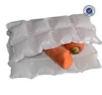 China 100g dry ice or gel packs for shipping Sheet For Fresh Seafood OEM Camping Freezer Storage Box for sale