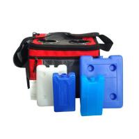 China Accepable OEM/ODM Shanghai PCM Cooling Pad Freezer Blocks for Breast Milk Storage Carry for sale