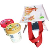 China Food Carry Insulated Cooler Shopping Bag 12 Inch Picnic Tempeture 4-6 Hours Portable Aluminum Foil for sale