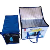 China Waterproof Insulated Packaging Bag for Breastmilk 500ml Ice Pack OEM/ODM Acceptable for sale