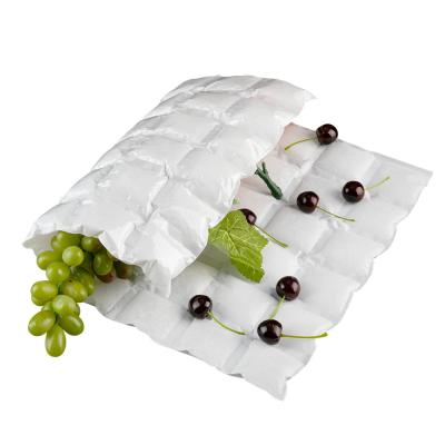 China small dry ice packs for shipping Cooling Gel Fresh Fish Meat Seafood during Air Transportation for sale
