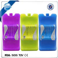 China 1800 Ml Large Sub Zero Freezer Pack Gel For Ice Cream Cold 48h Cooling Eutectic Ice Plate for sale