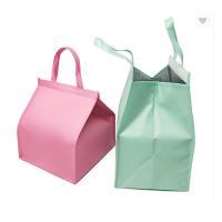 China Girls Thermal Lunch Bag For Adults Hot Food Non Woven Fabric Thermal Insulation Foam Bag Office Outdoor for sale
