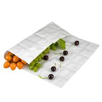 China 400g Food Grade Reusable Dry Ice Pack Sheets for Cold Drink Transport and Storage for sale