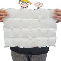 China packaging dry ice packs for shipping food Reusable Sheet Cooler old Fresh  38*29cm /4*6cubes for sale