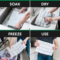 China packaging dry ice packs for shipping food Reusable Sheet Cooler old Fresh  38*29cm /4*6cubes for sale