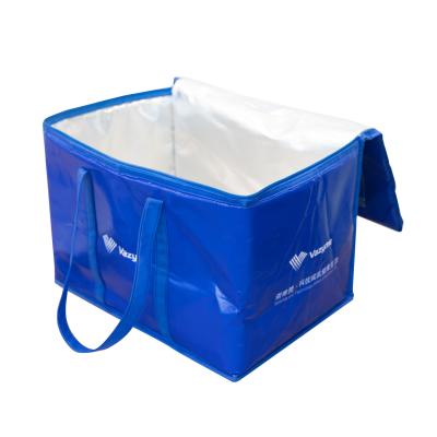 China Lunch Insulated Foldable Cooler Bag Portable Food Delivery Bag Keeping Food for sale