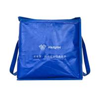 China Lunch Insulated Foldable Cooler Bag Portable Food Delivery Bag Keeping Food for sale