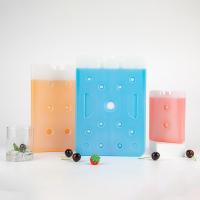 China Slim Thin Vaccine Cooler Box Cooling Plate For Constant Temperature Cool Ice Brick for sale